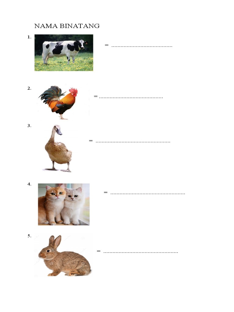 Nama Binatang | PDF