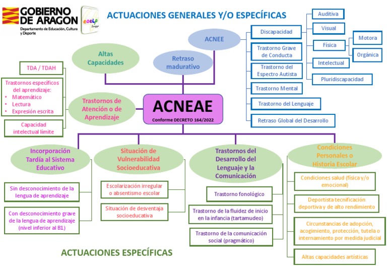 Esquema ACNEAE 2022 | PDF | Desorden hiperactivo y deficit de atencion | Discapacidad intelectual