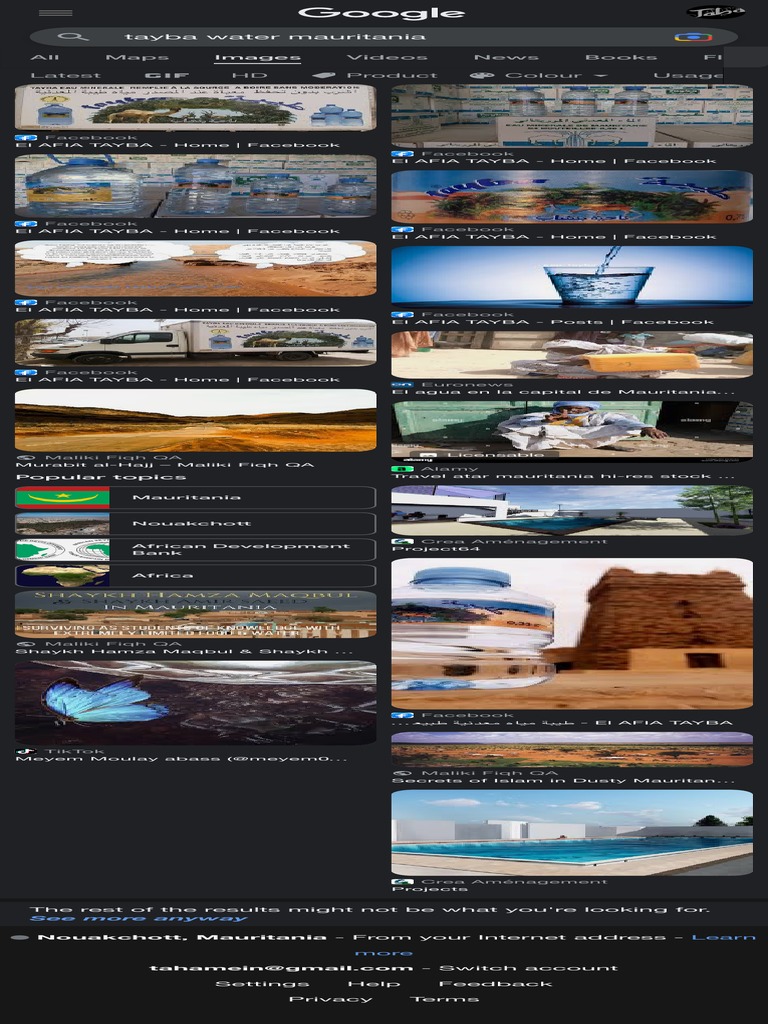 Tayba Water Mauritania - Google Search | PDF