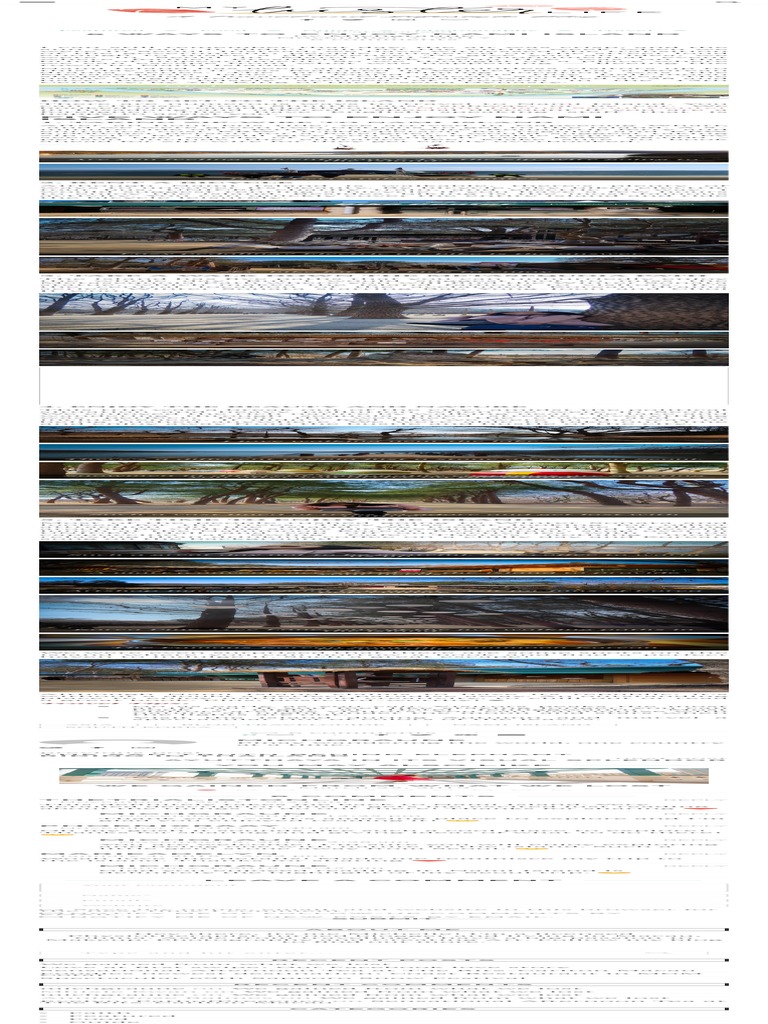 5 Ways To Enjoy Nami Island | PDF