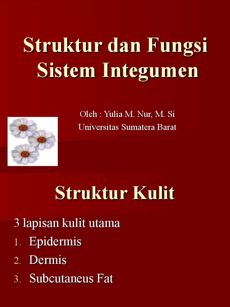 Struktur dan Fungsi Sistem Integumen | PDF