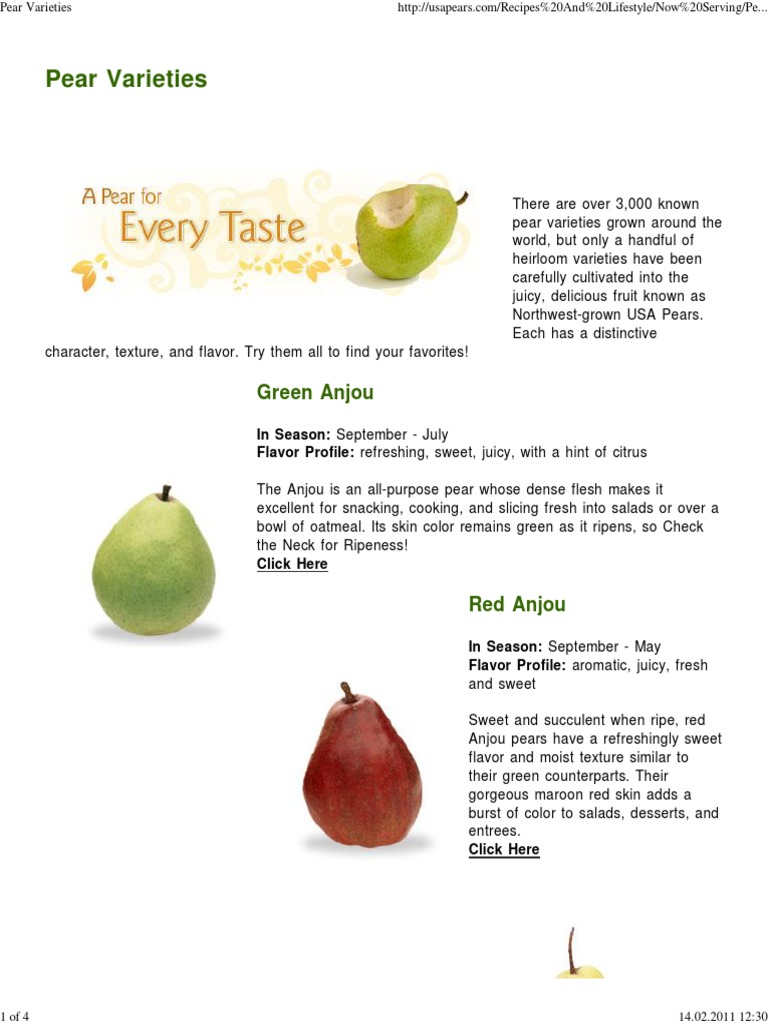 Pear Varieties | PDF | Pear | Food And Drink