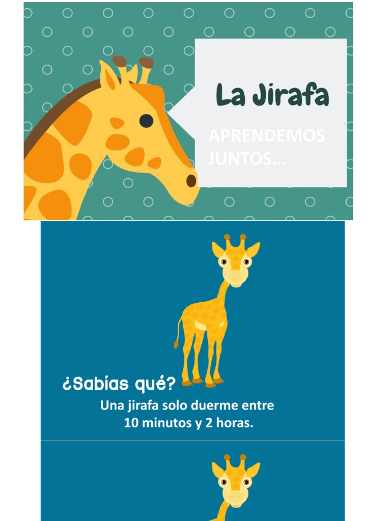 Jirafa Curiosidades | PDF