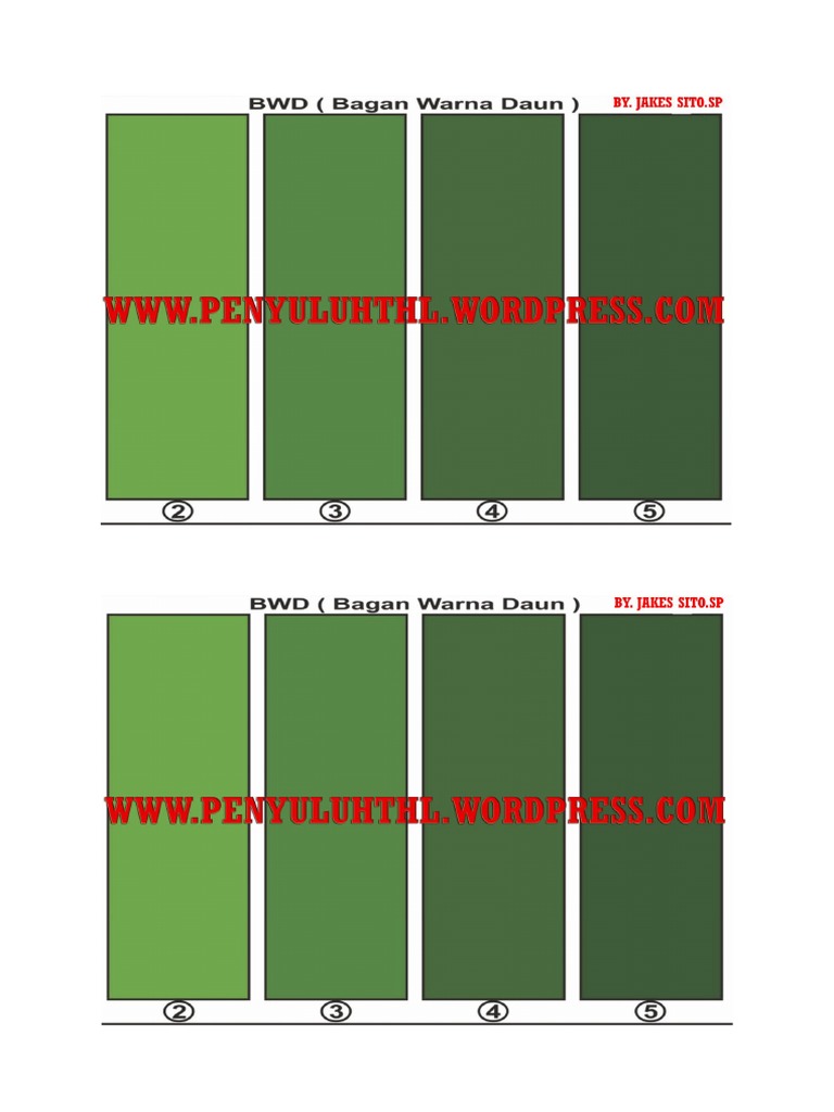 Bagan Warna Daun | PDF