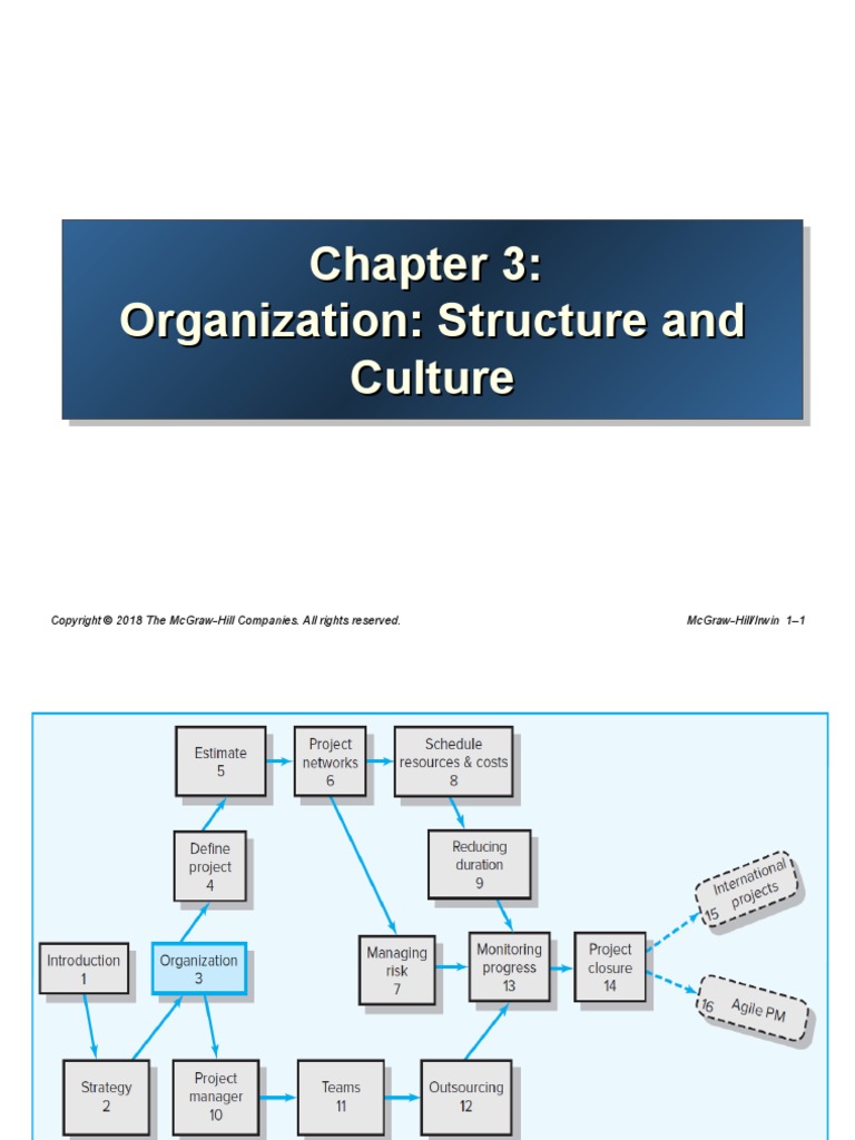 Chapter 3 - Organization Structure & Culture | PDF | Organizational ...