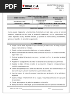 DESCRIPCION DE CARGO Chofer | PDF