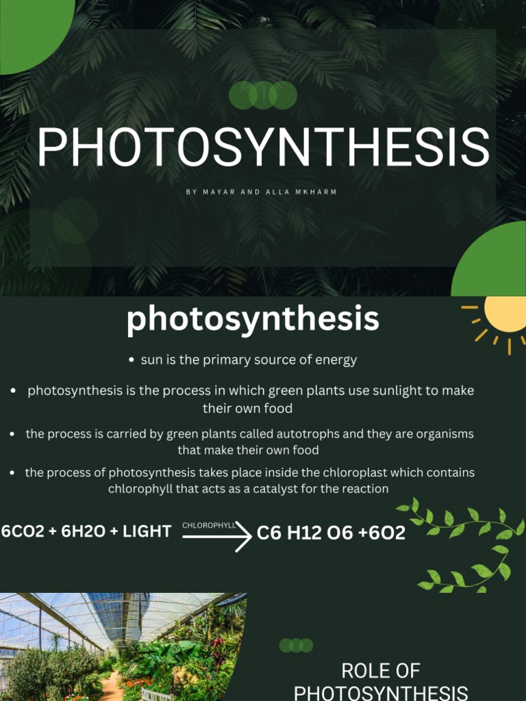 Photosynthesis | PDF