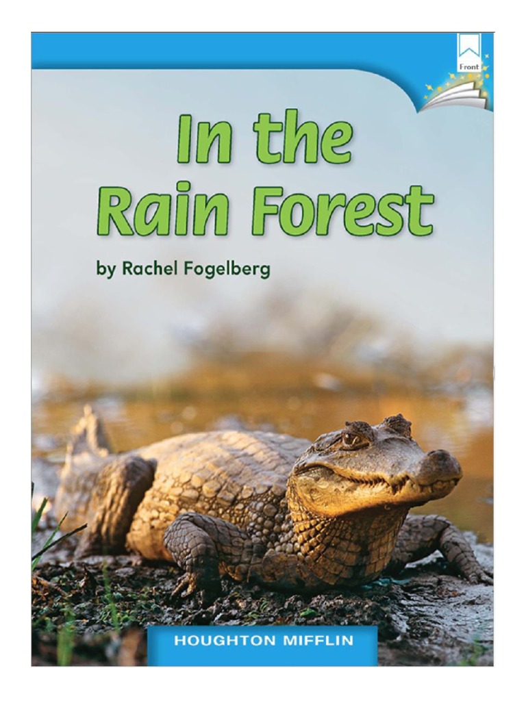 Lesson 8-In The Rainforest | PDF