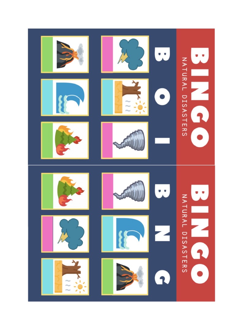 Bingo - Natural Disasters | PDF