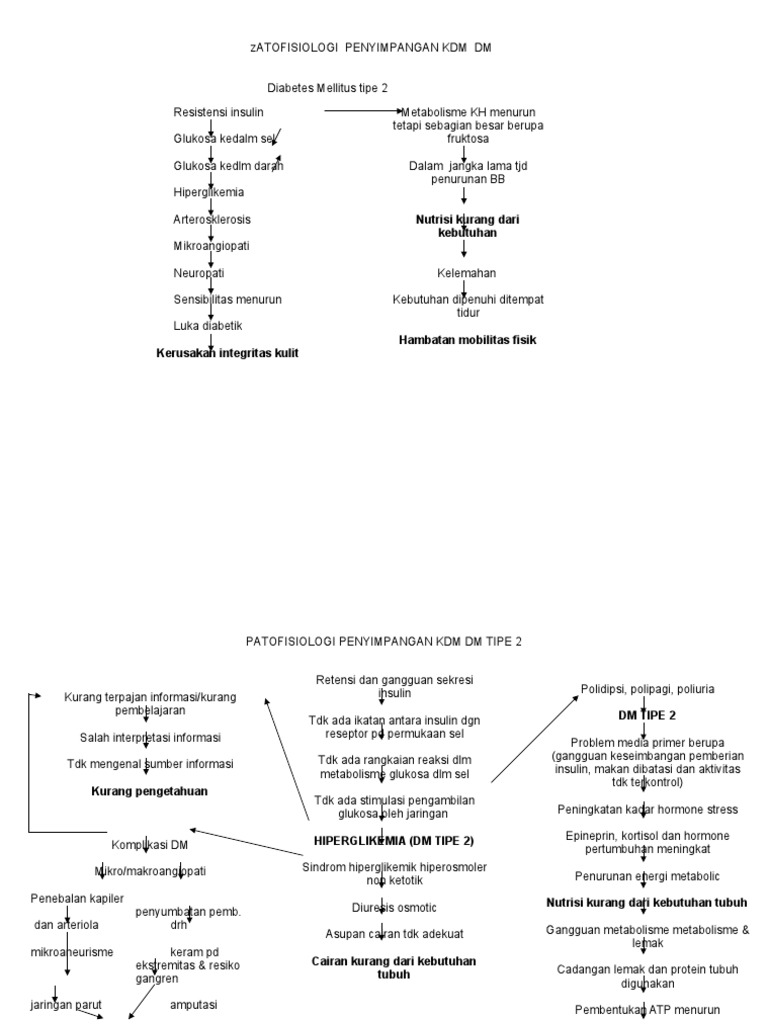 LP Fatin Syahirah DM Tipe 2 L.1 | PDF | Kesehatan Holistik
