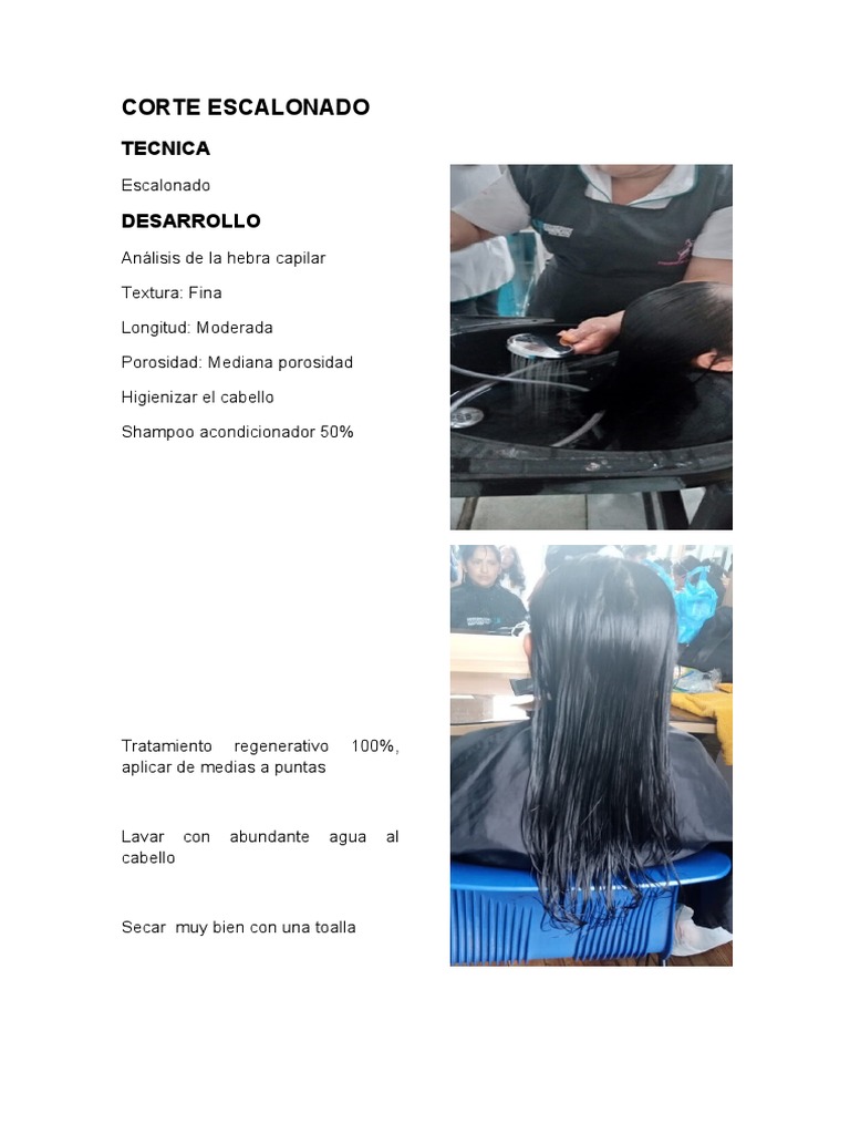 Corte Escalonado Estilismo Ii | PDF | Hogar, jardinería y bricolaje