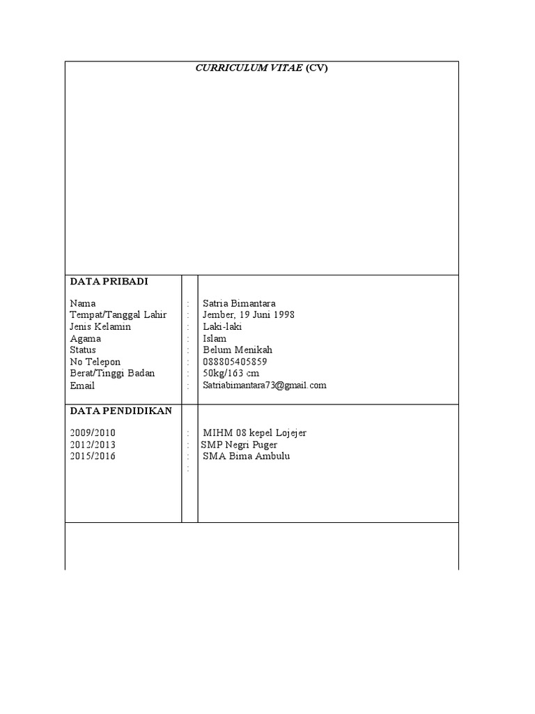 Curriculum Vitae Bima | PDF