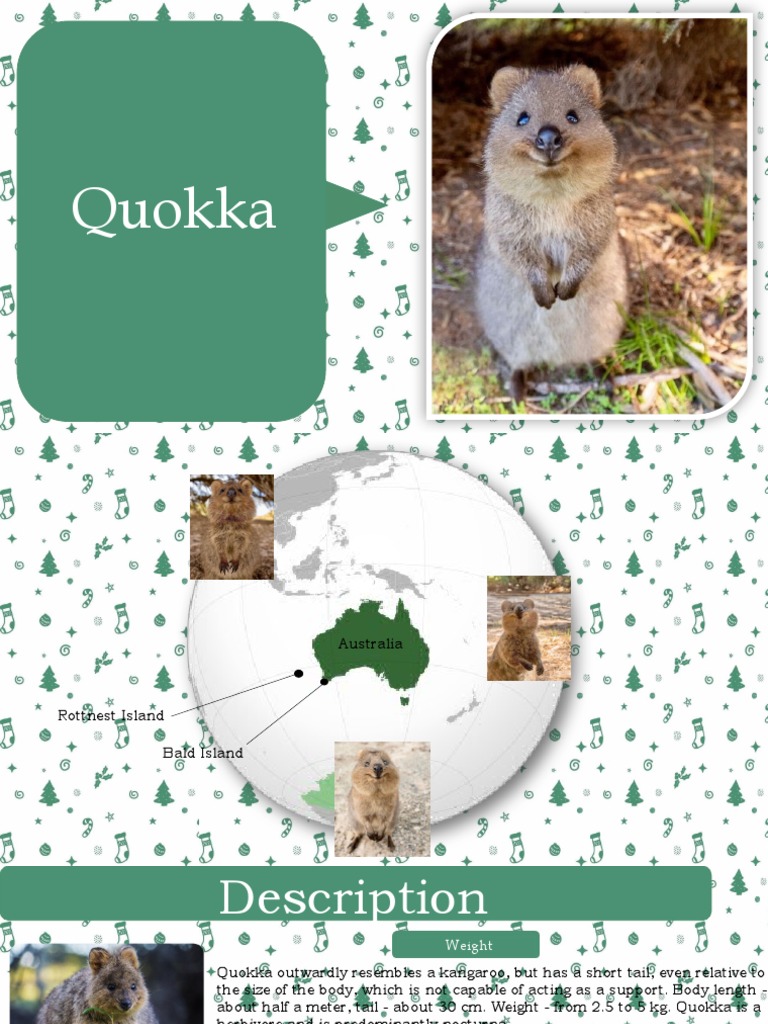 Quokka | PDF