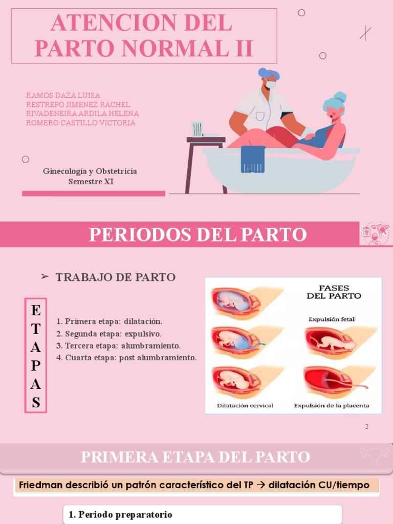 Parto Normal 2 | PDF | Parto | Pelvis