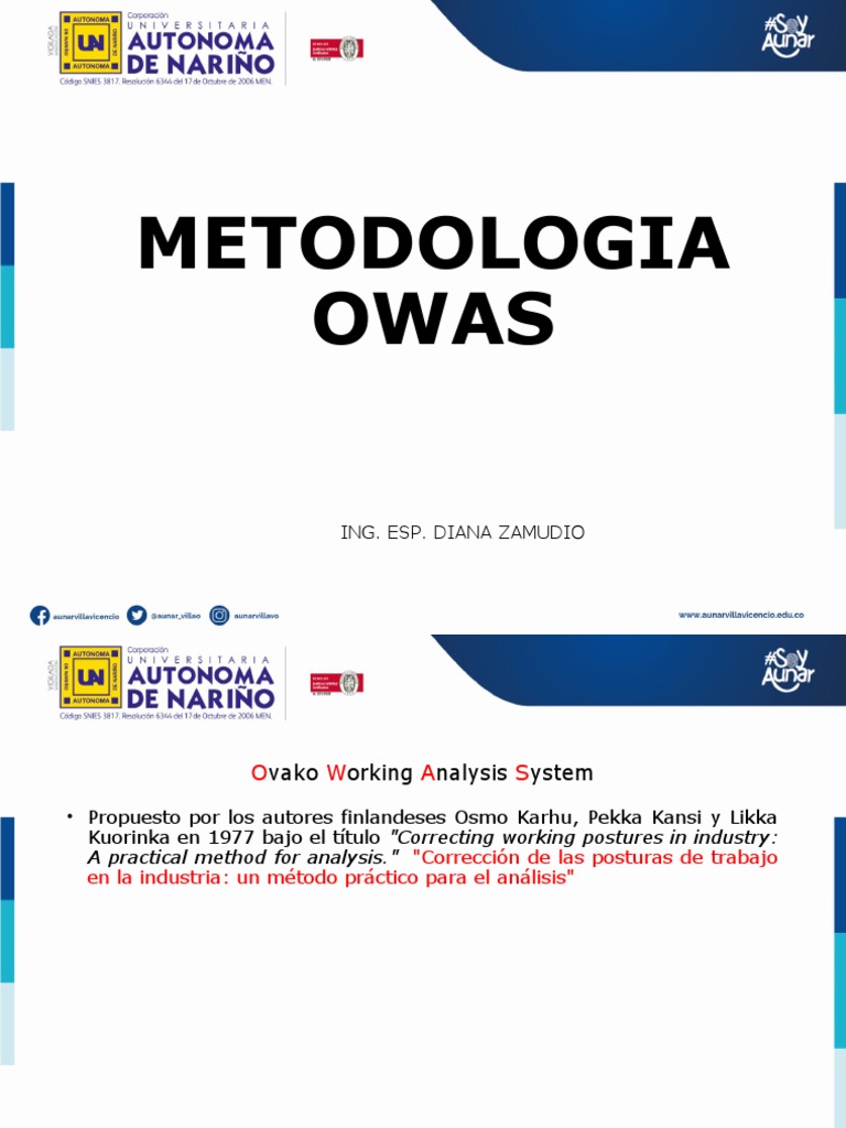Metodologia Owas | PDF | Informática