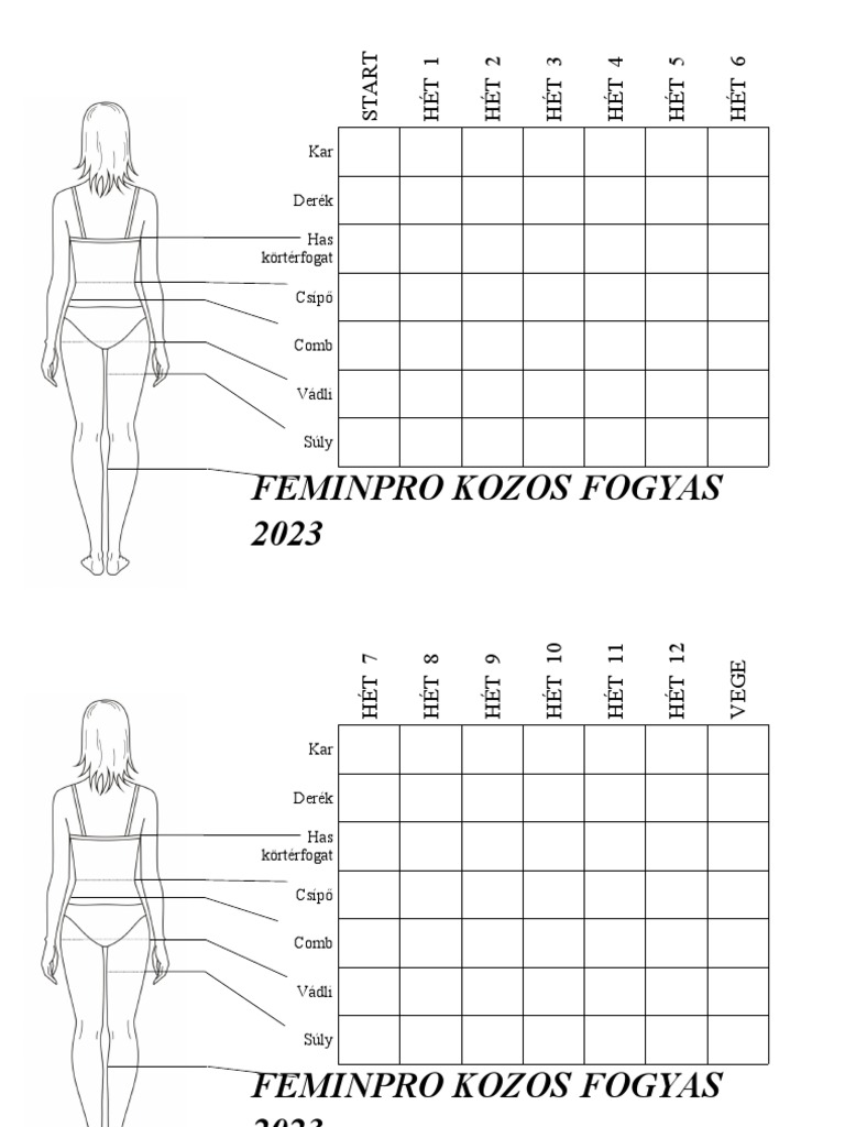 Diet Progress Tracker | PDF