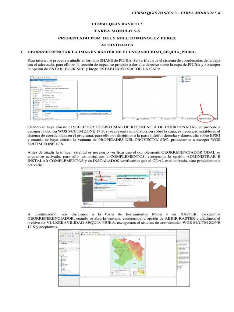 Tarea Qgis Modulo6 | PDF | Desarrollo de software | Informática