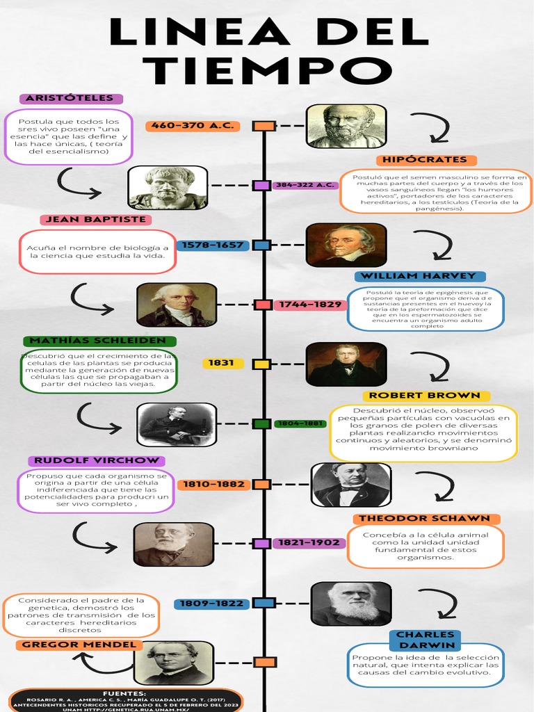 Infografia Línea Del Tiempo Historia Timeline Doodle Multicolor | PDF ...