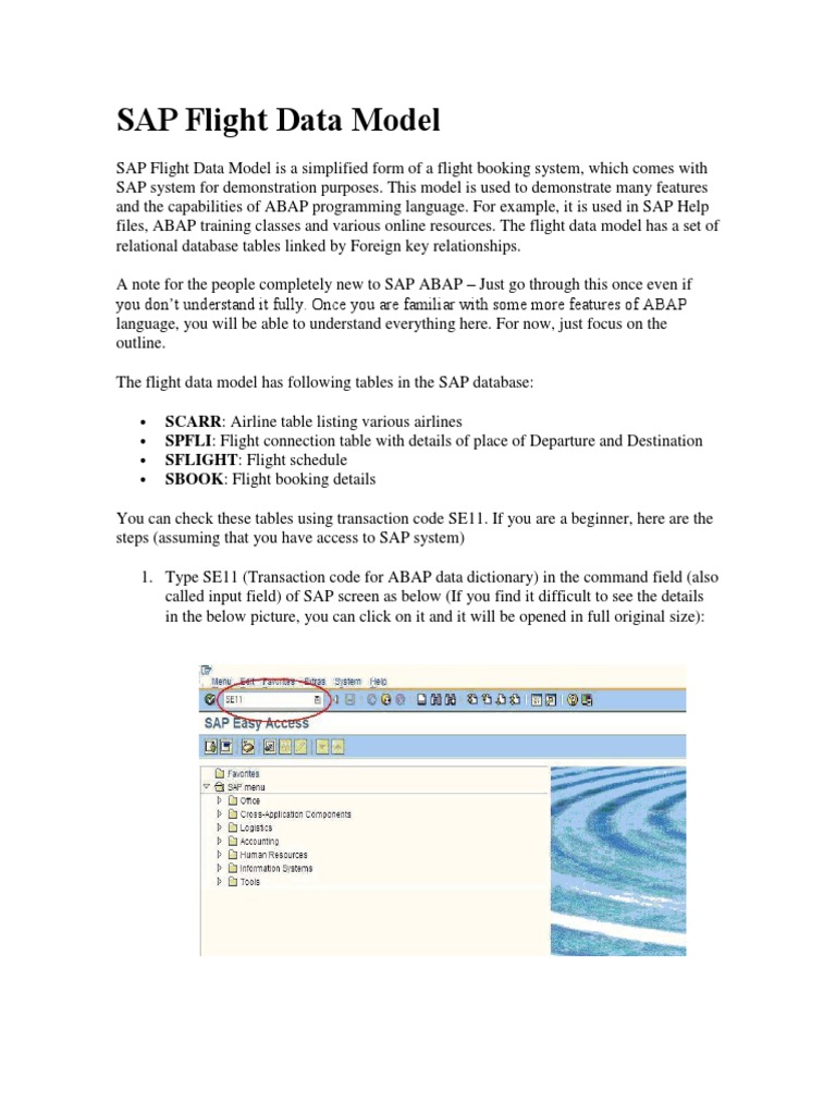 Dlver Sap Flight Data Model | PDF | Software Development | Information ...