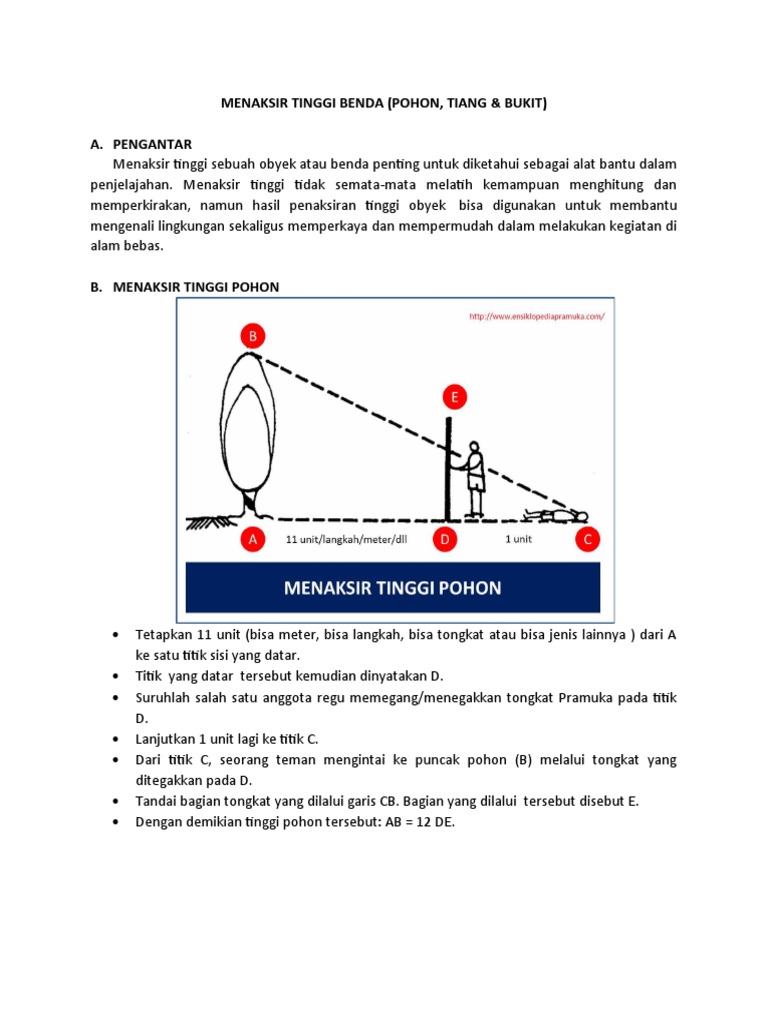 Menaksir Tinggi Objek di Alam | PDF | Metode & Bahan Ajar | Sains ...