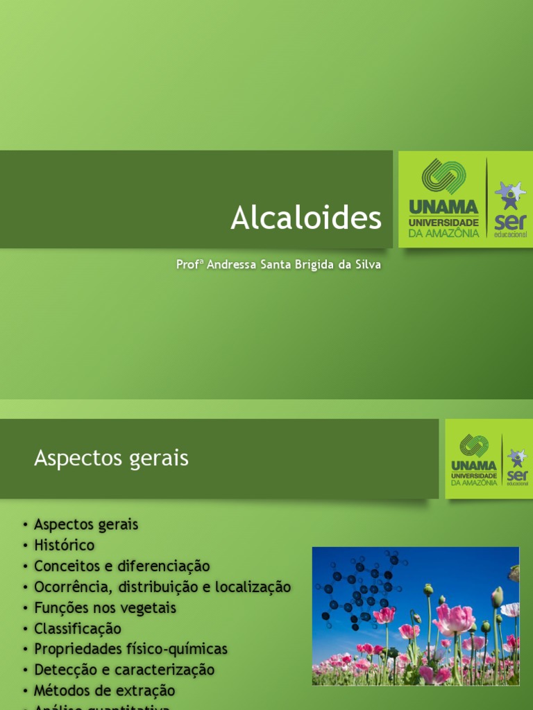 Caracterização e classificação de alcaloides: propriedades, funções ...