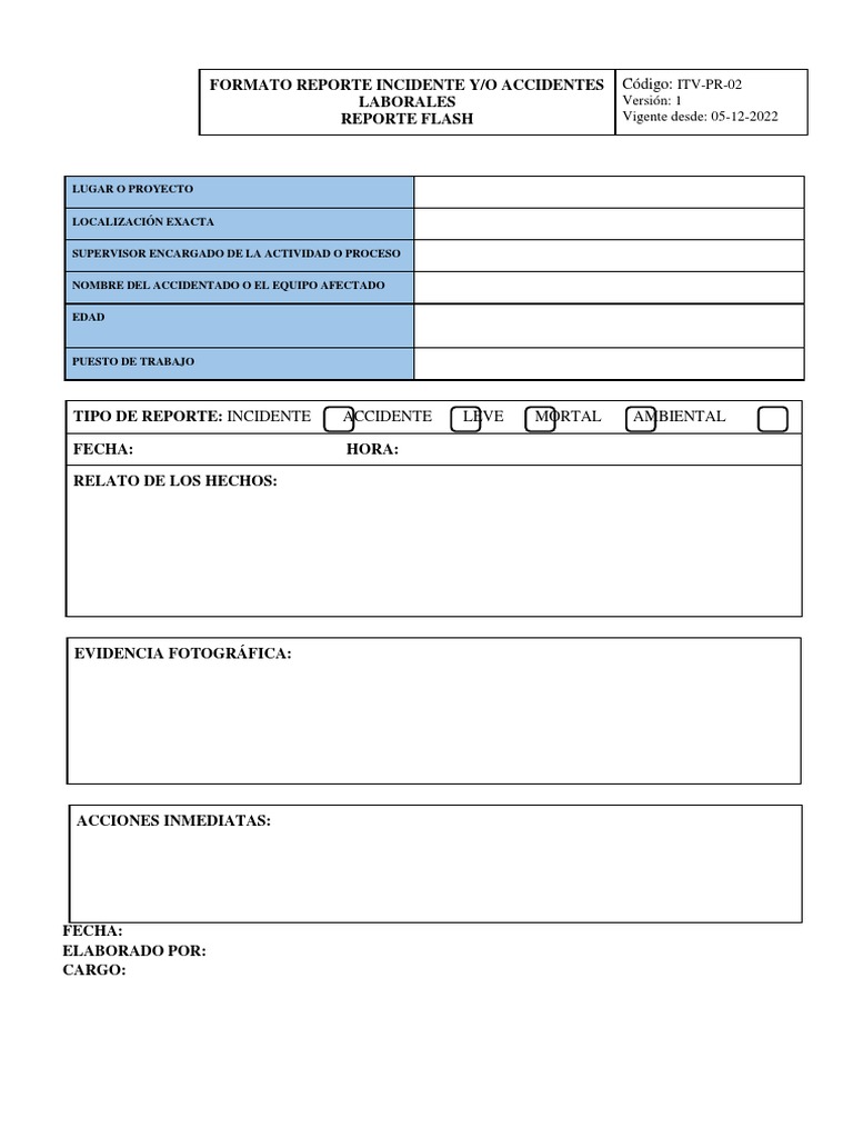 Formato Reporte Flash | PDF