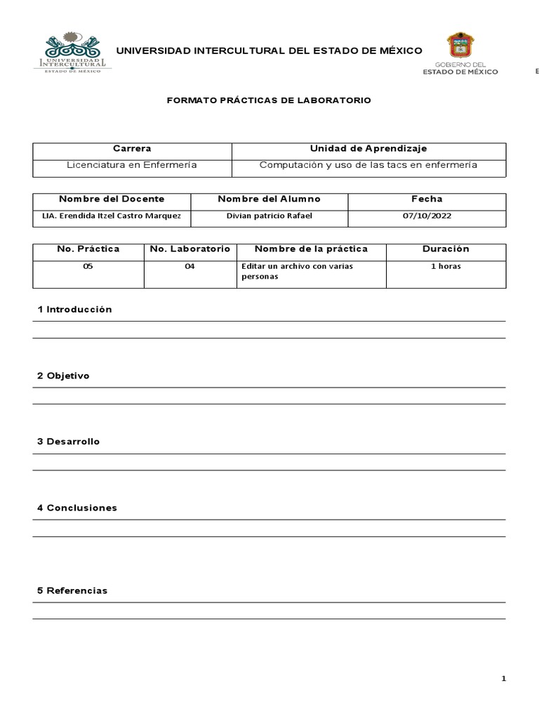 Formato Laboratorio Enfermeria | PDF