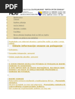 Primjer Izjave | PDF