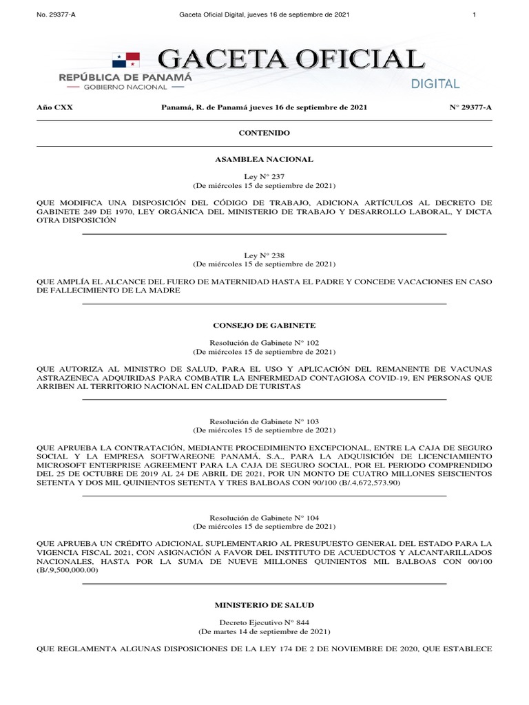 Ley 238 2021 Fuero Paternal | PDF | Gobierno