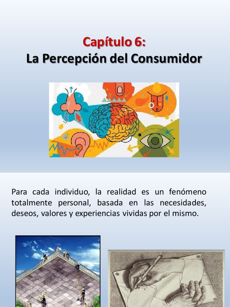 Capítulo 6 - Percepción Del Consumidor | PDF | Percepción | Los ...