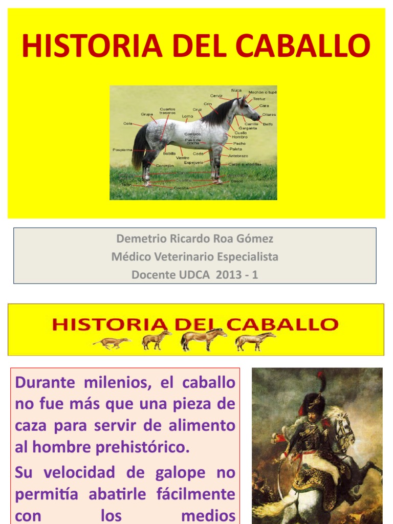Evolución e Historia del Caballo | PDF | Équidos | Caballos