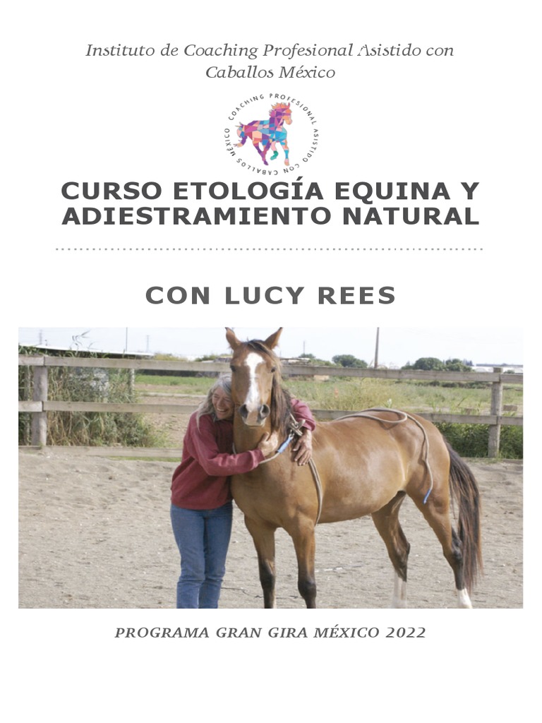 Temas de La Gira Lucy Rees México - Actividade | PDF | Las emociones | Comportamiento