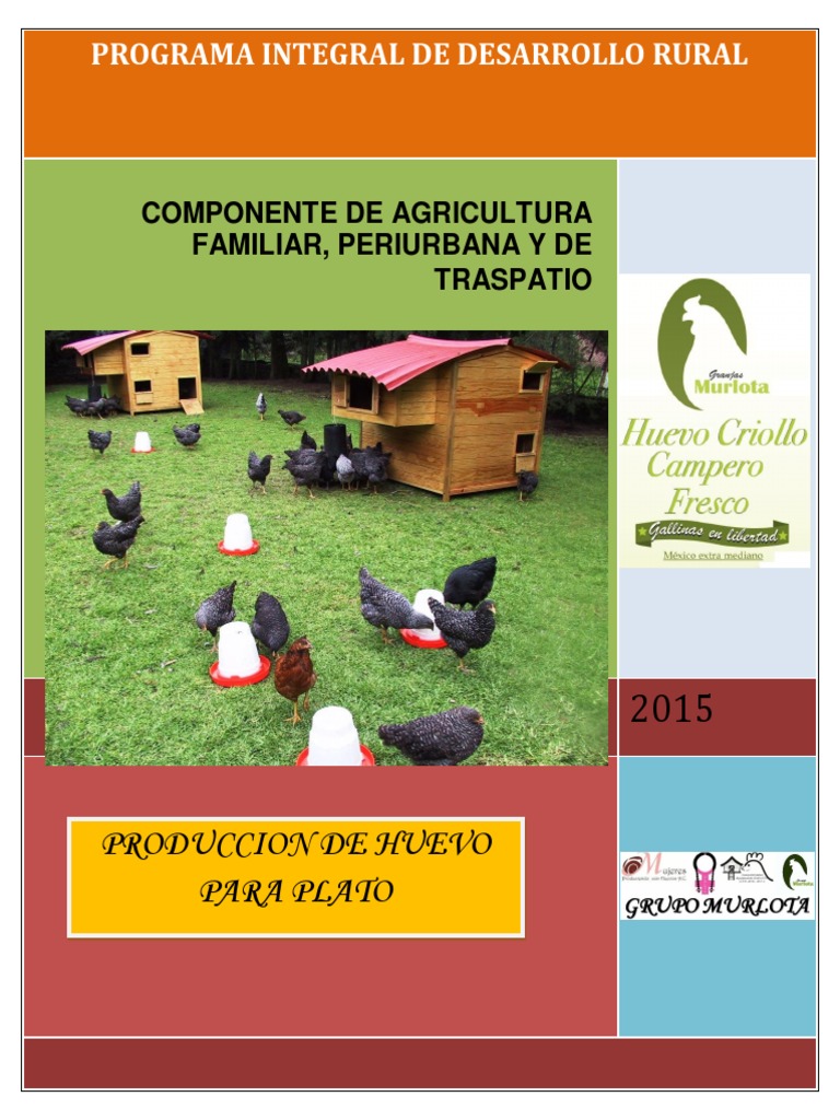 Gallinas | PDF | Compost | Fertilizante