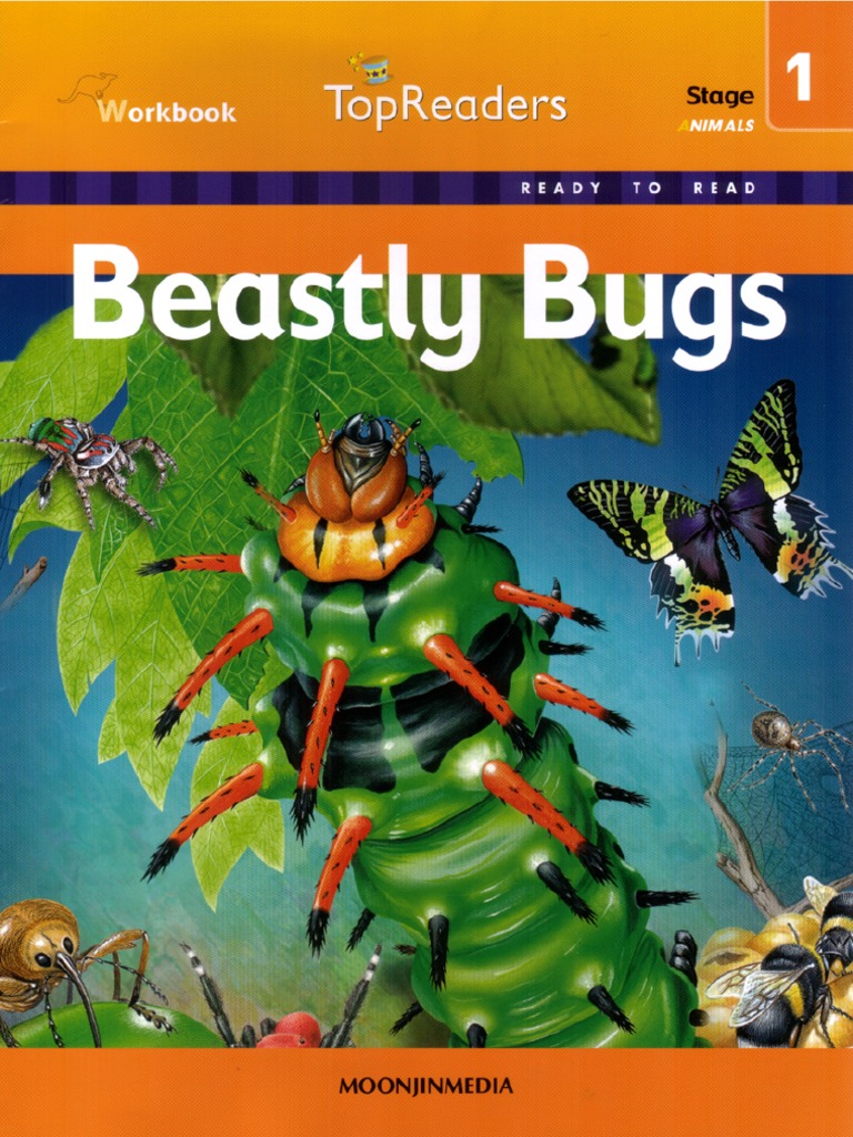 Beastly Bug Workbook For Home | PDF