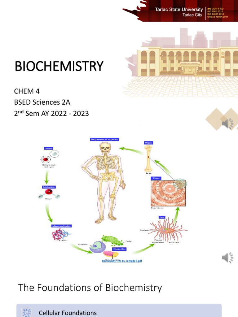 Lecture 1 Foundations of Chemistry | Download Free PDF | Cell (Biology ... Lecture 1 Foundations of Chemistry | Download Free PDF | Cell (Biology ...