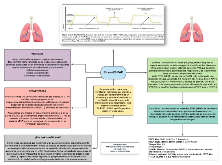 Bi Level | PDF | Sistema respiratorio | Pulmón