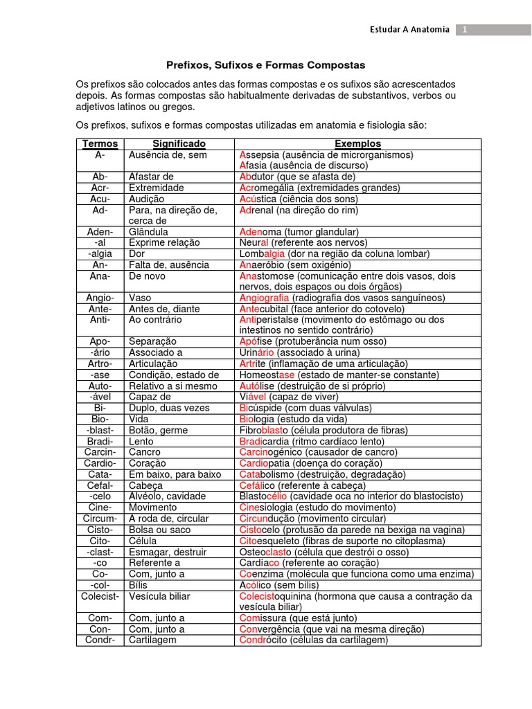 Prefixos, Sufixos e Formas Compostas (Estudar A Anatomia) | PDF ...