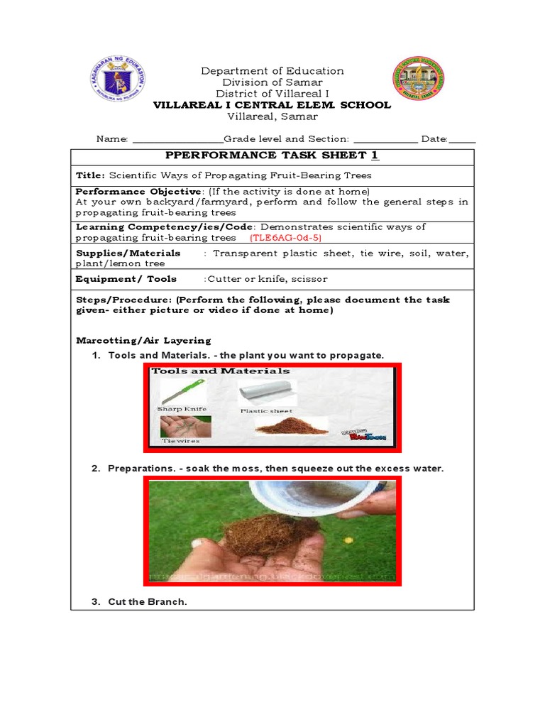 New PERFORMANCE TASKS TLE 6 | PDF | Trees | Plants