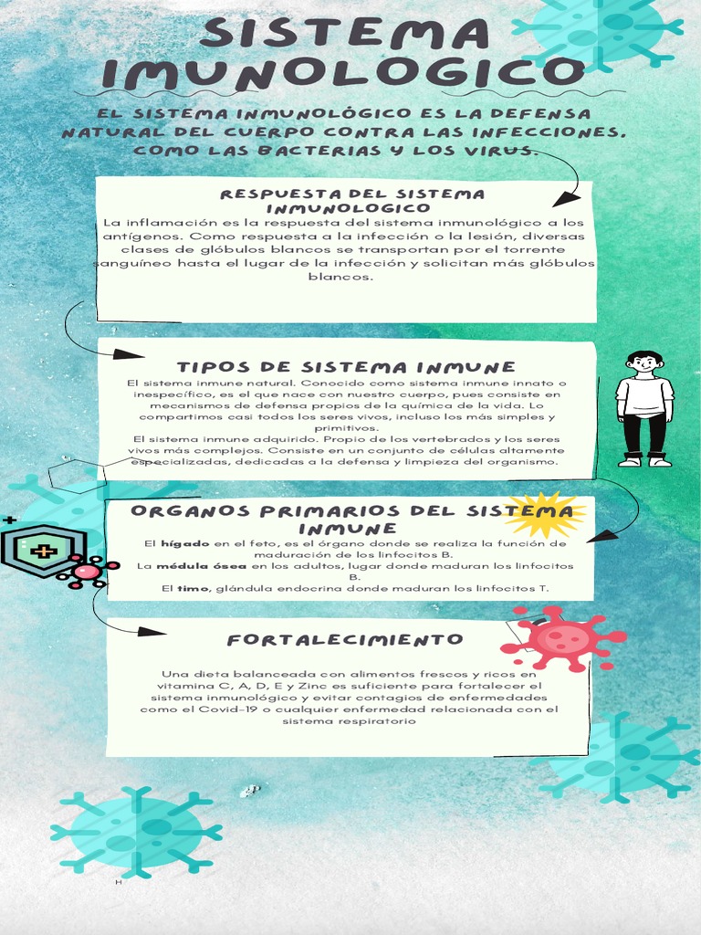 Infografia Sistema Inmunologico | PDF