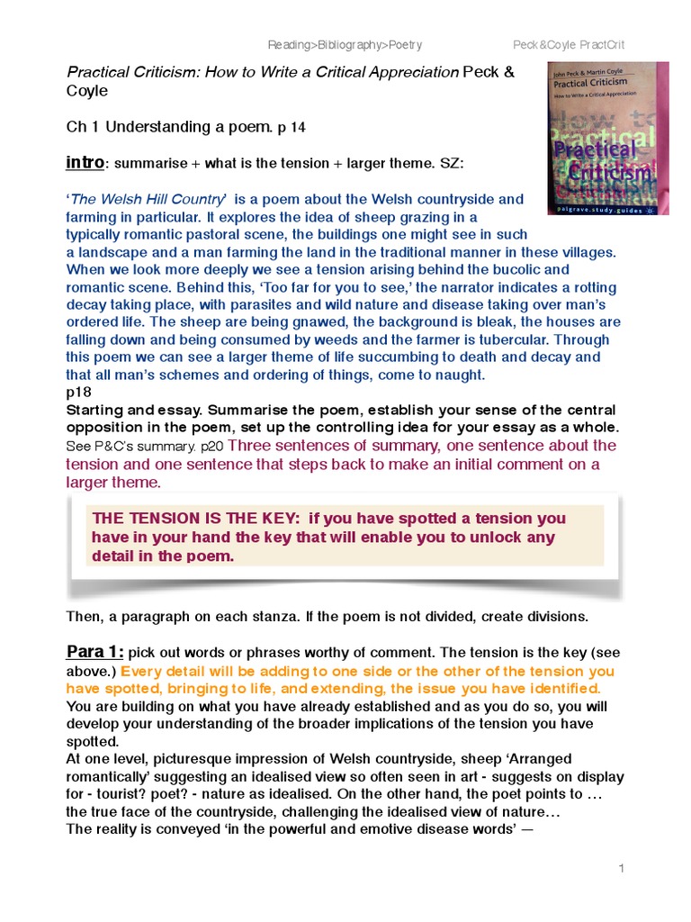 Notes On Peck&Coyle Practical Criticism | PDF | Poetry
