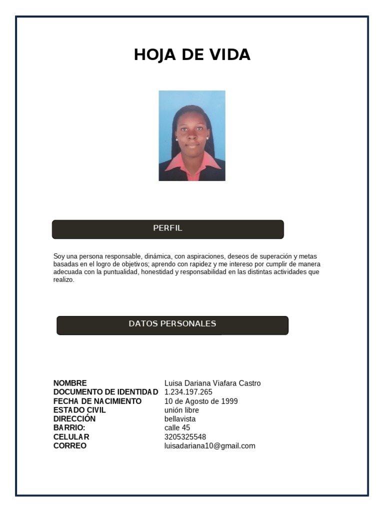 Hoja de Vida en PDF | PDF