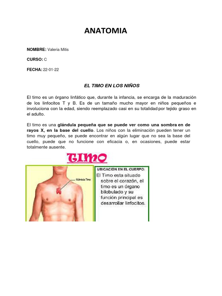 Anatomía y función del timo en niños | PDF