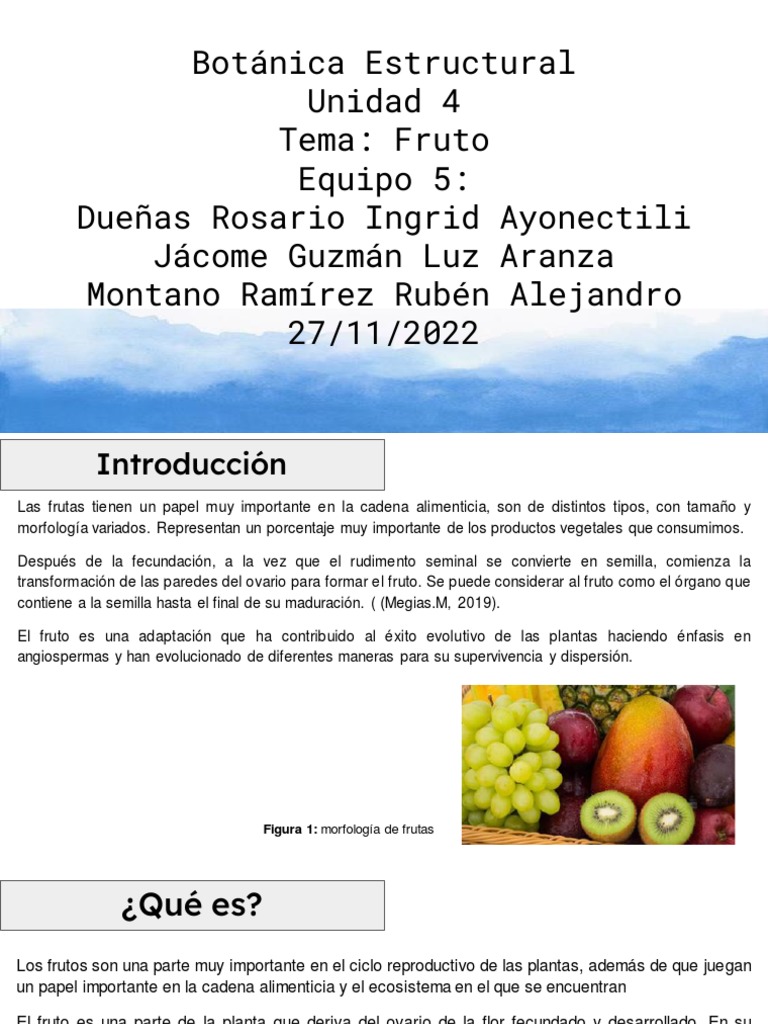 Estructura y funciones del fruto | PDF | Fruta | Botánica