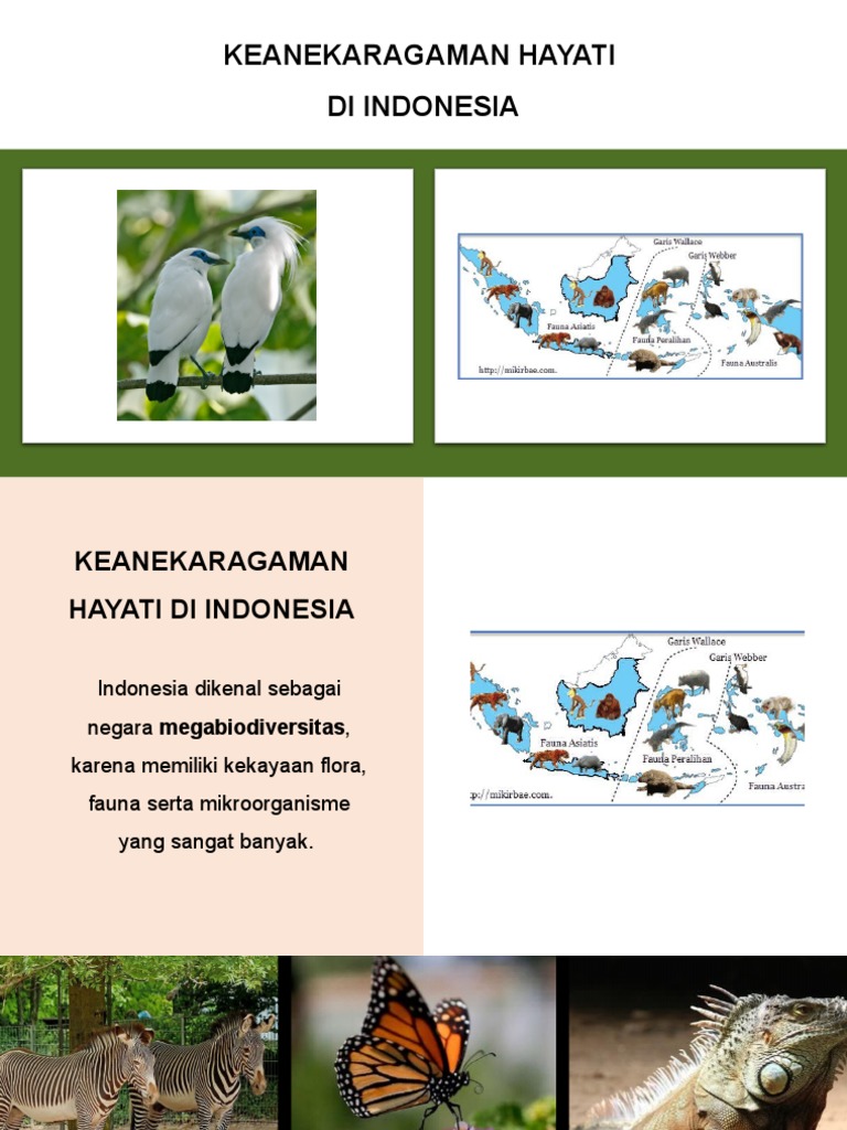 Keanekaragaman Hayati Di Indonesia | PDF | Sains & Matematika