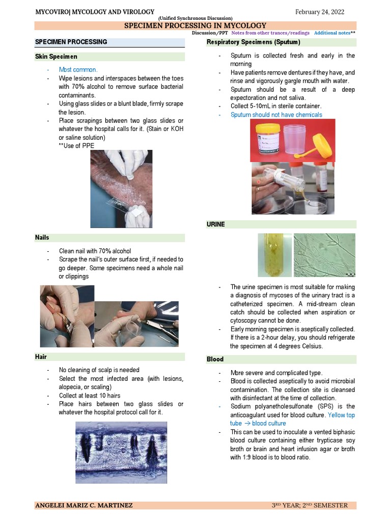 2 - Specimen Processing in Mycology | PDF | Staining | Fungus
