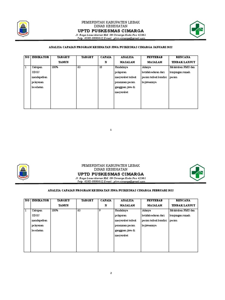 Capaian Kesehatan Jiwa 2022 | PDF