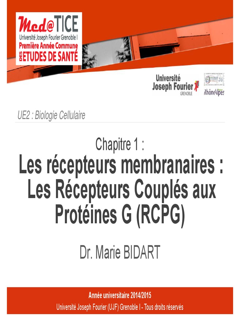 Les Récepteurs Membranaires Les Récepteurs Couplés Aux Protéines G ...