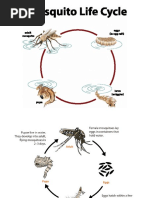 Kasuotan Tuwing Tag Ulan at Init | PDF