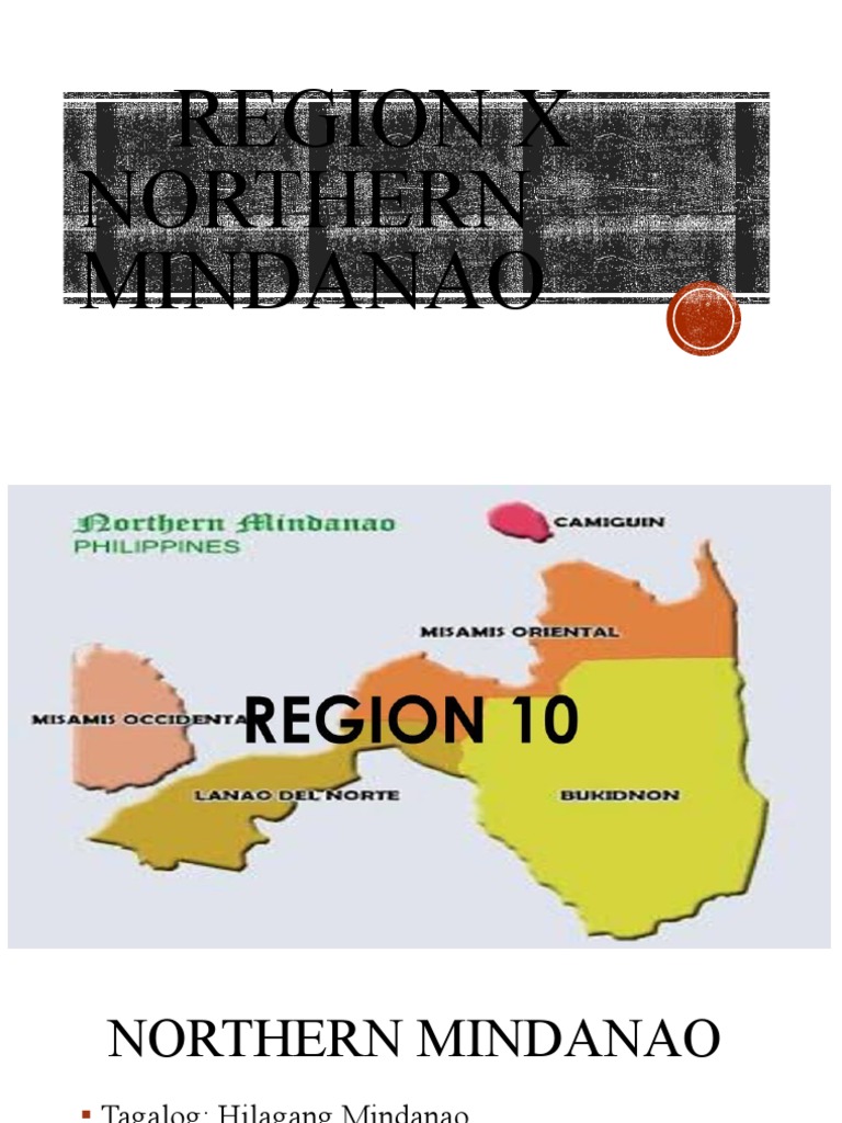 Northern Mindanao Region X | PDF
