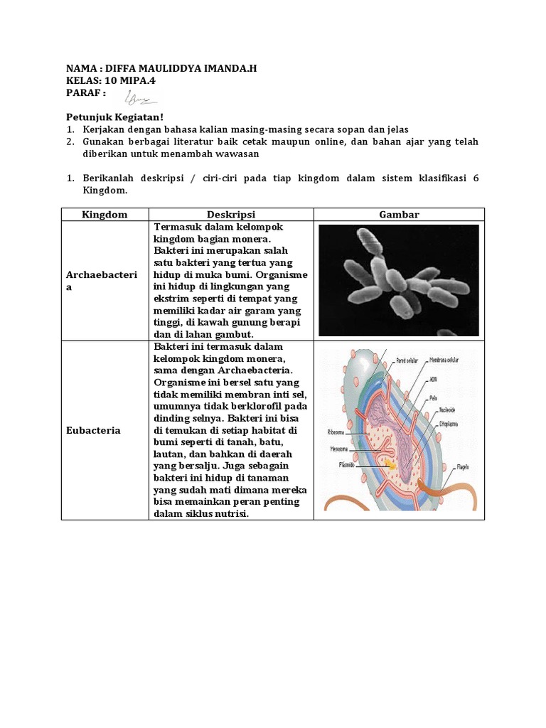 Kladogram dan Klasifikasi Hewan Kelas 10 | PDF | Kesehatan Holistik